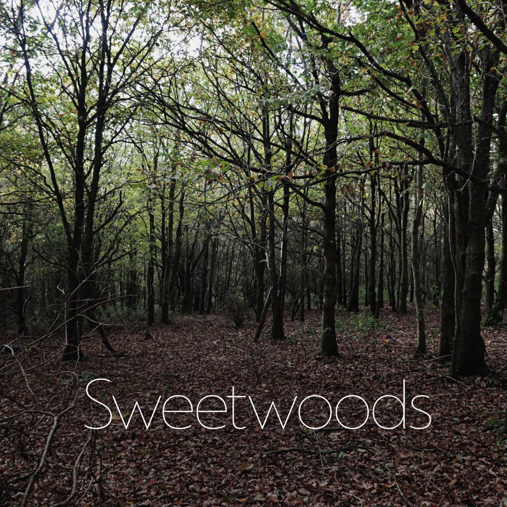 Musical Mind - Sweetwoods - Musical Mind Recordings